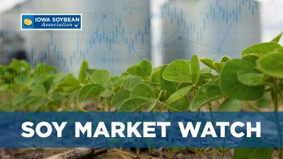 May WASDE Report Offers Mixed Outlook for U.S. Soybeans