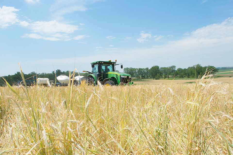 Insights into Managing and Terminating Cover Crops